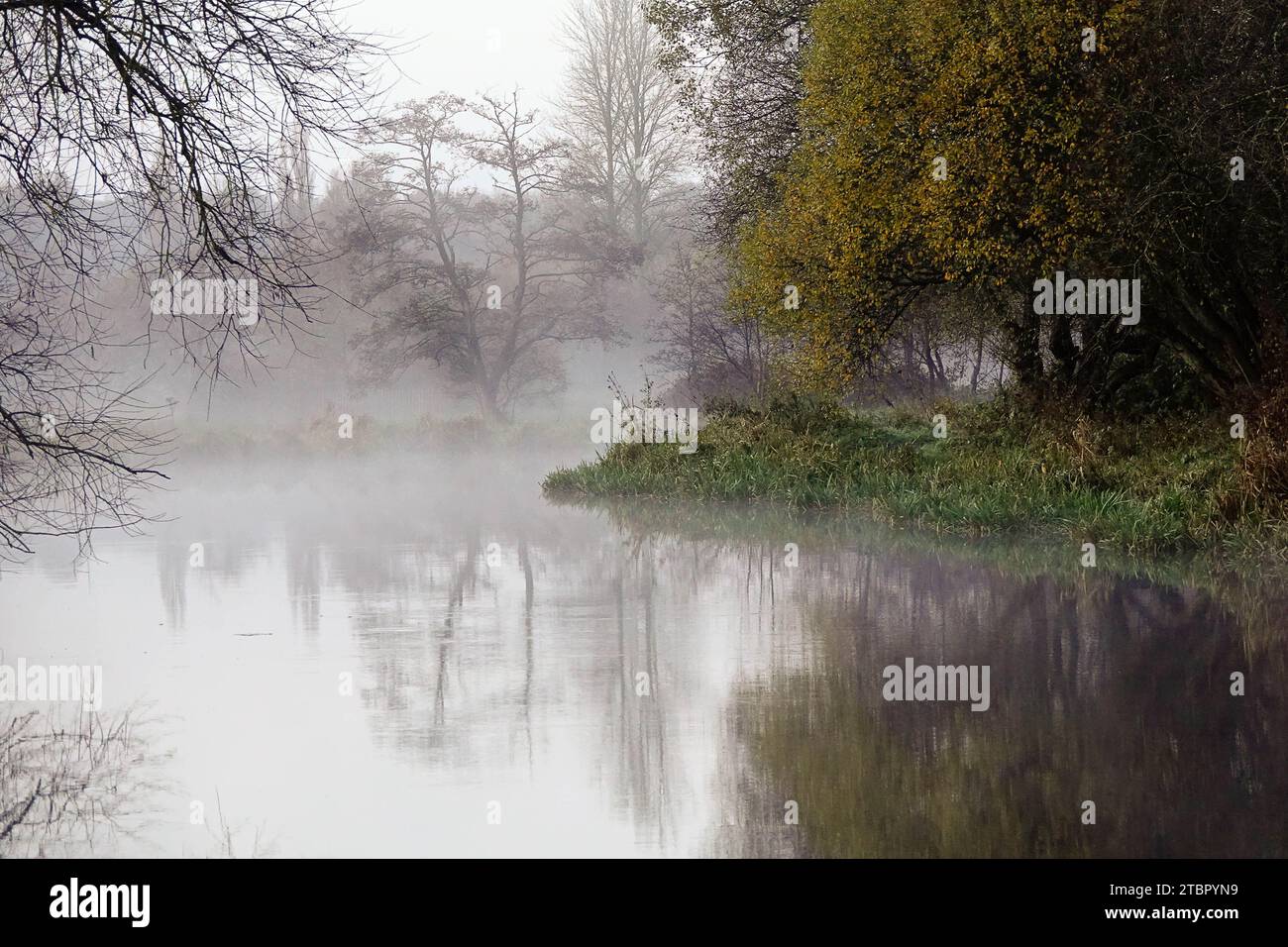 River Wey Navigations, Godalming. 08th December 2023. A cold and misty ...