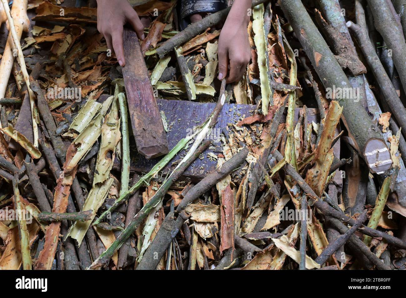 Agrarforst hi-res stock photography and images - Alamy