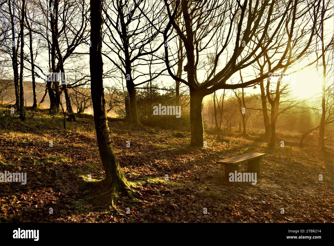 Find rest for your soul hi-res stock photography and images - Alamy