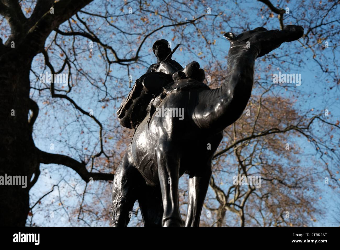 Camel Corps Memorial Stock Photo - Alamy