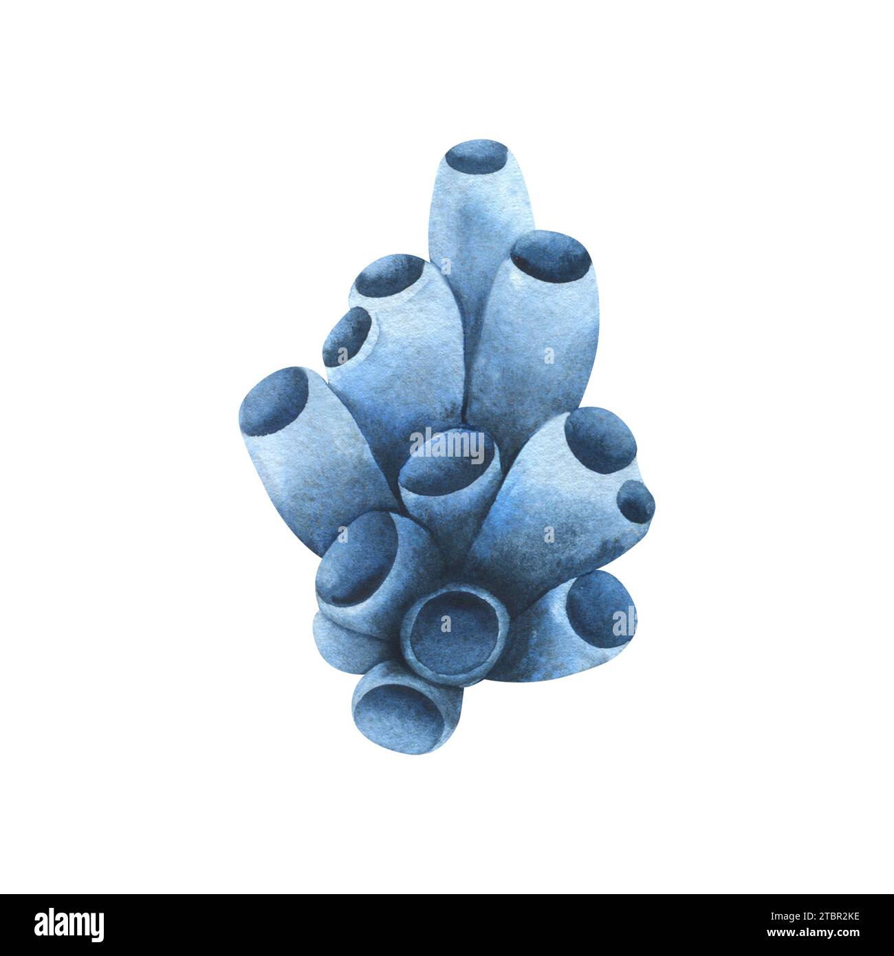 Blue tubular sea sponge, corals, algae. Hand drawn watercolor ...