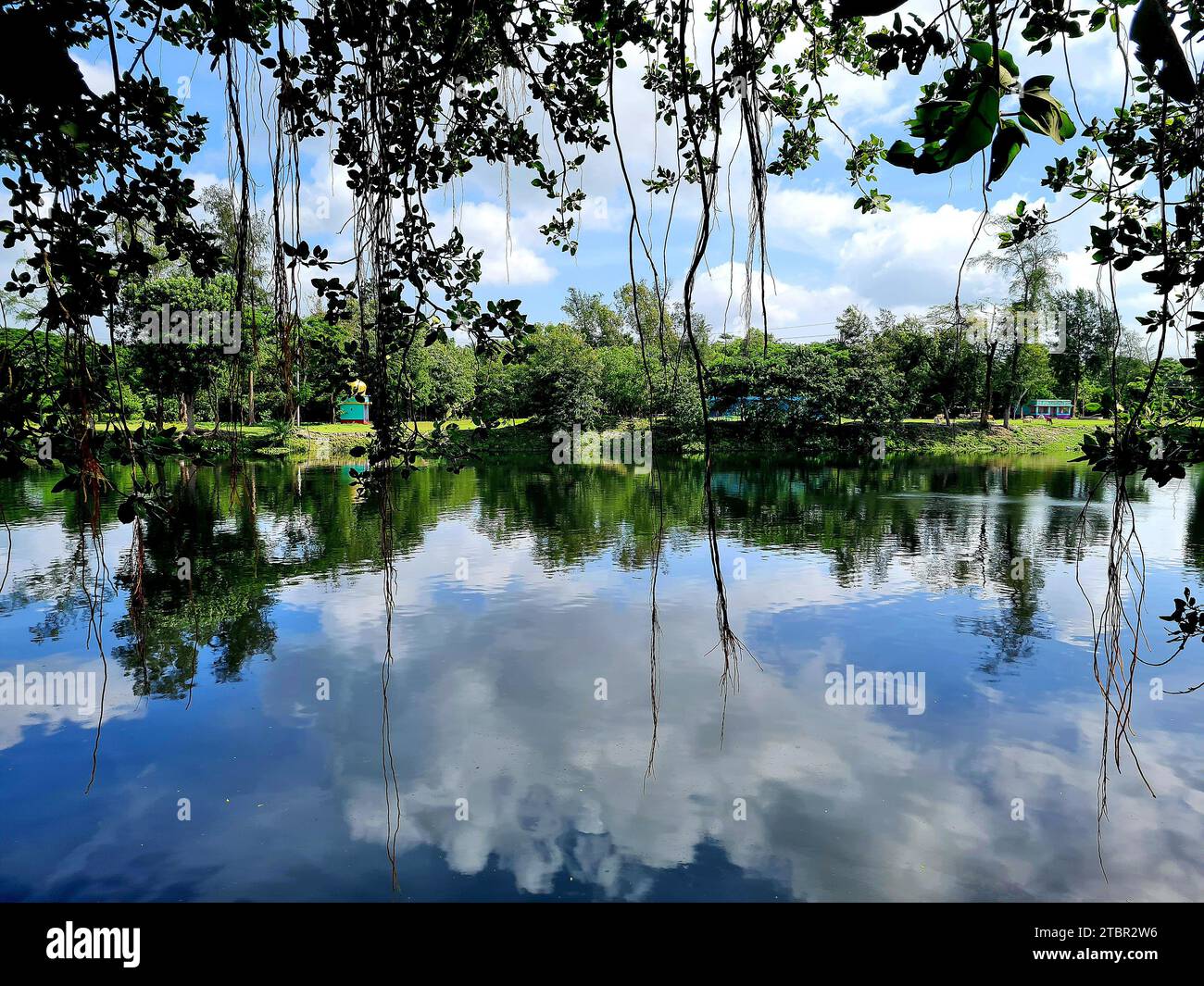 The beautiful landscape of the rural village of West Bengal in India ...