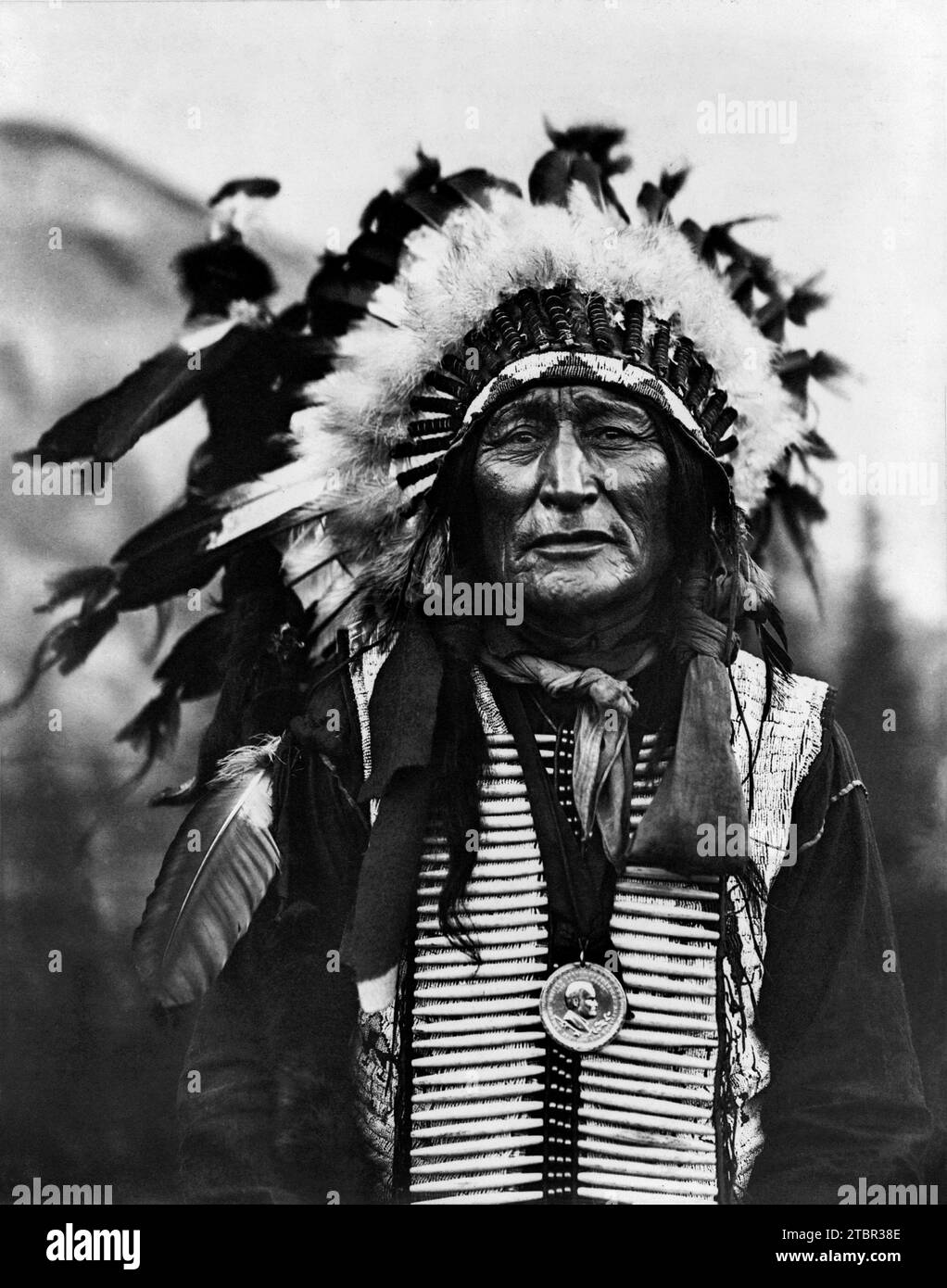 Iron Shell, Lakota, Sioux tribe, half-length portrait, facing front in ...