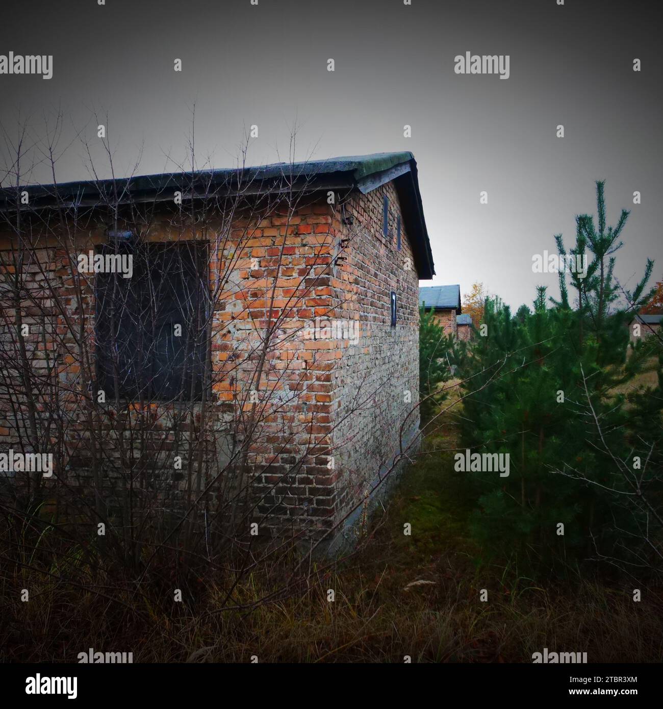 The Russian camp (post 1945), Concentration camp, Oranienburg ...