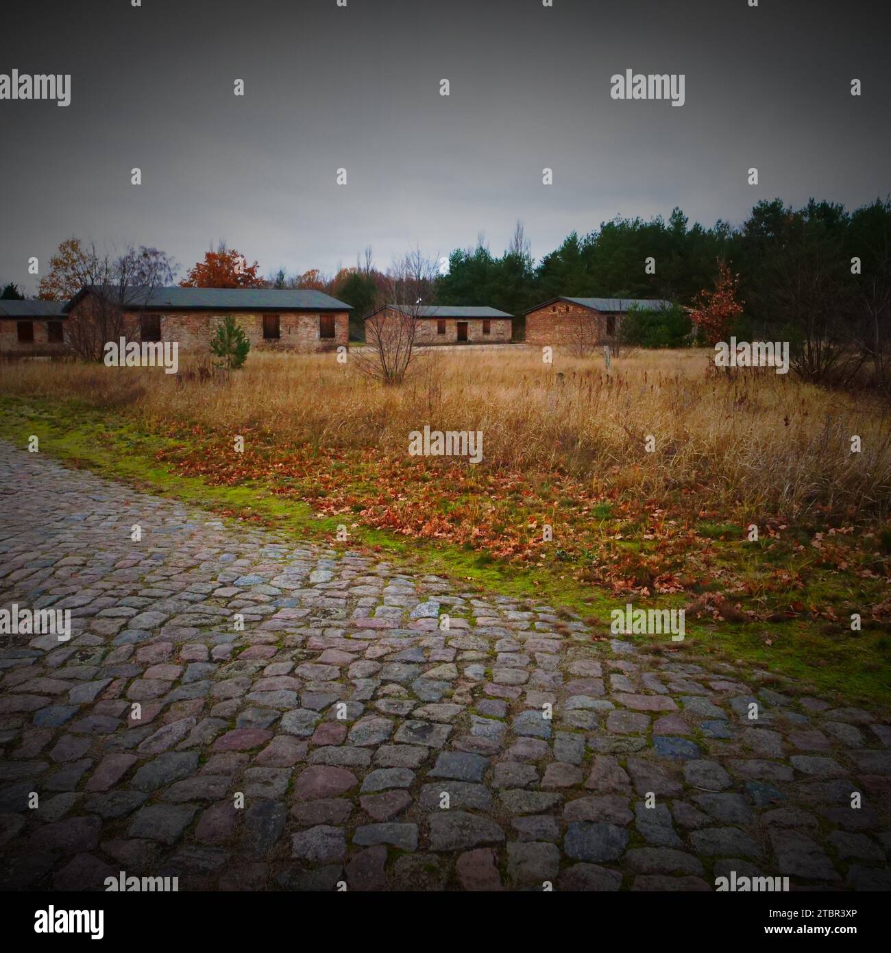 The Russian camp (post 1945), Concentration camp, Oranienburg ...