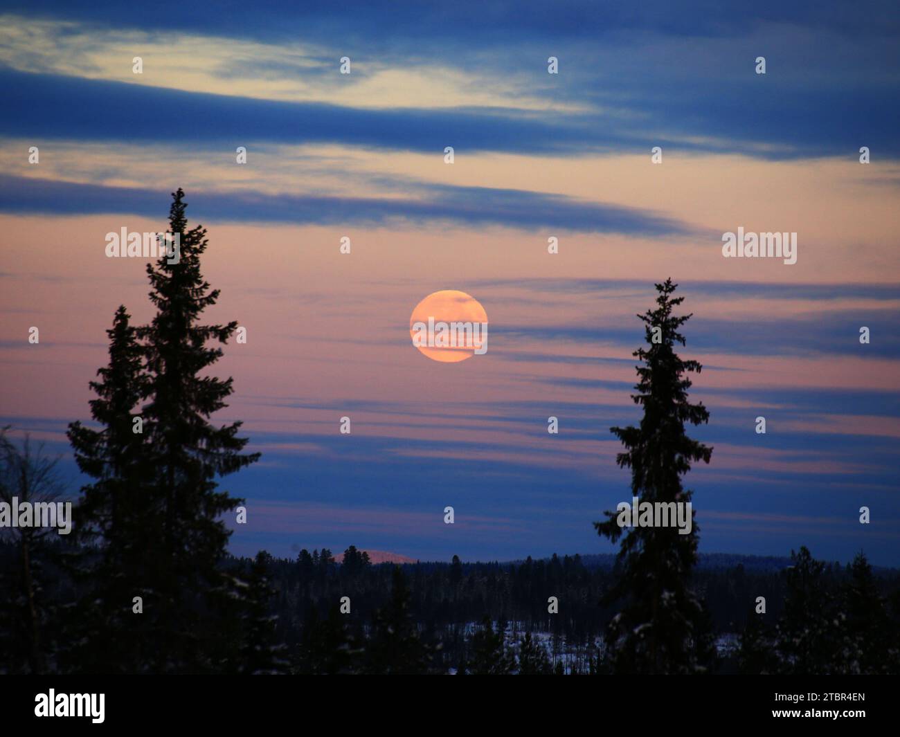 Rising orange full moon with tree silhouettes and clouds Stock Photo ...
