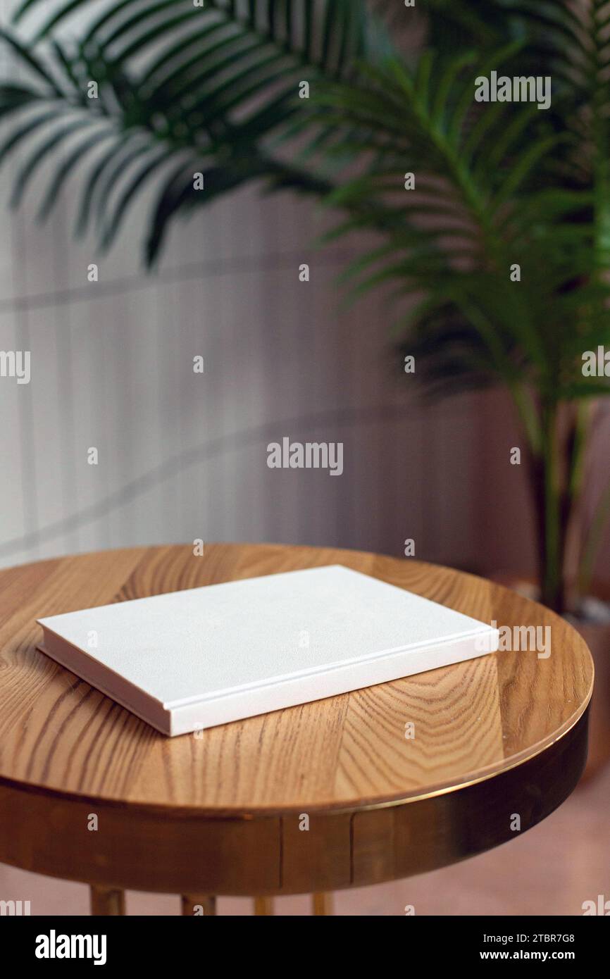 A book with a blank empty cover mockup template Stock Photo - Alamy