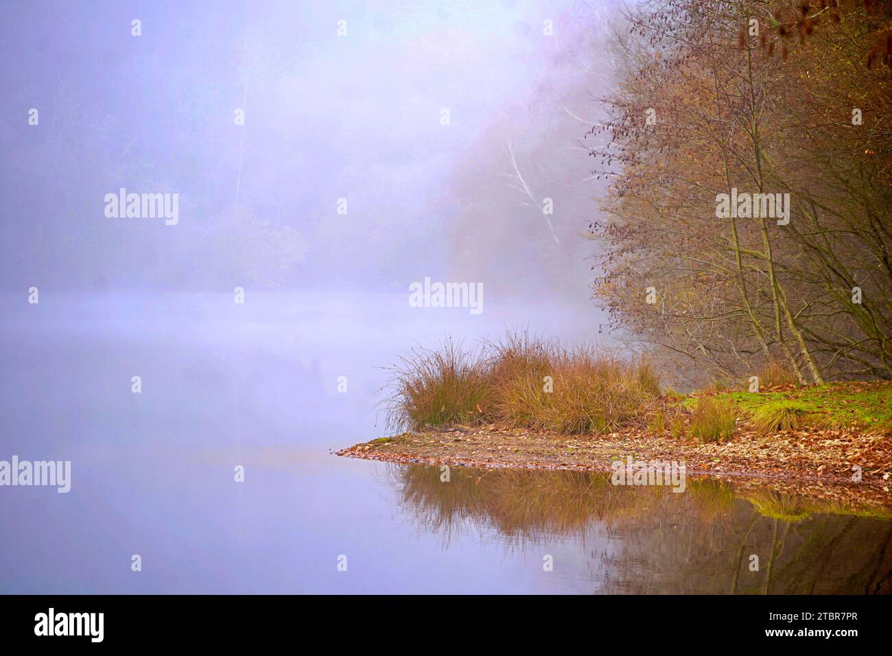 Autumn Fall Colors in Perigord National Forest, Lake Fog Southwest ...
