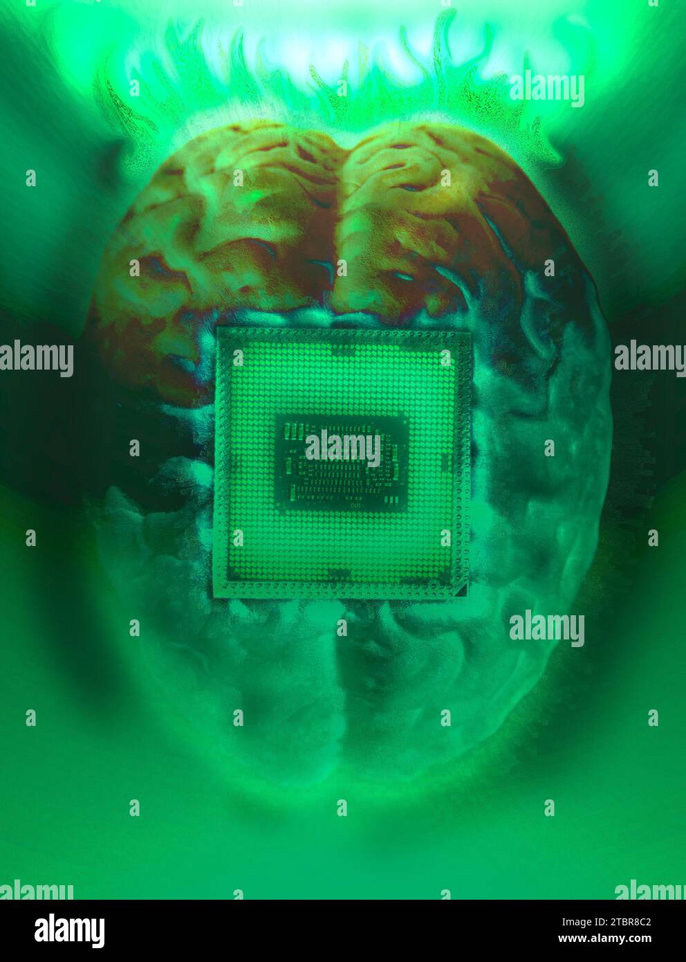 Human brain anatomical model with CPU processor microchip Stock Photo - Alamy