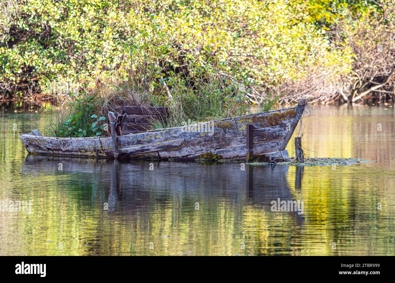 Old little boat hi-res stock photography and images - Alamy