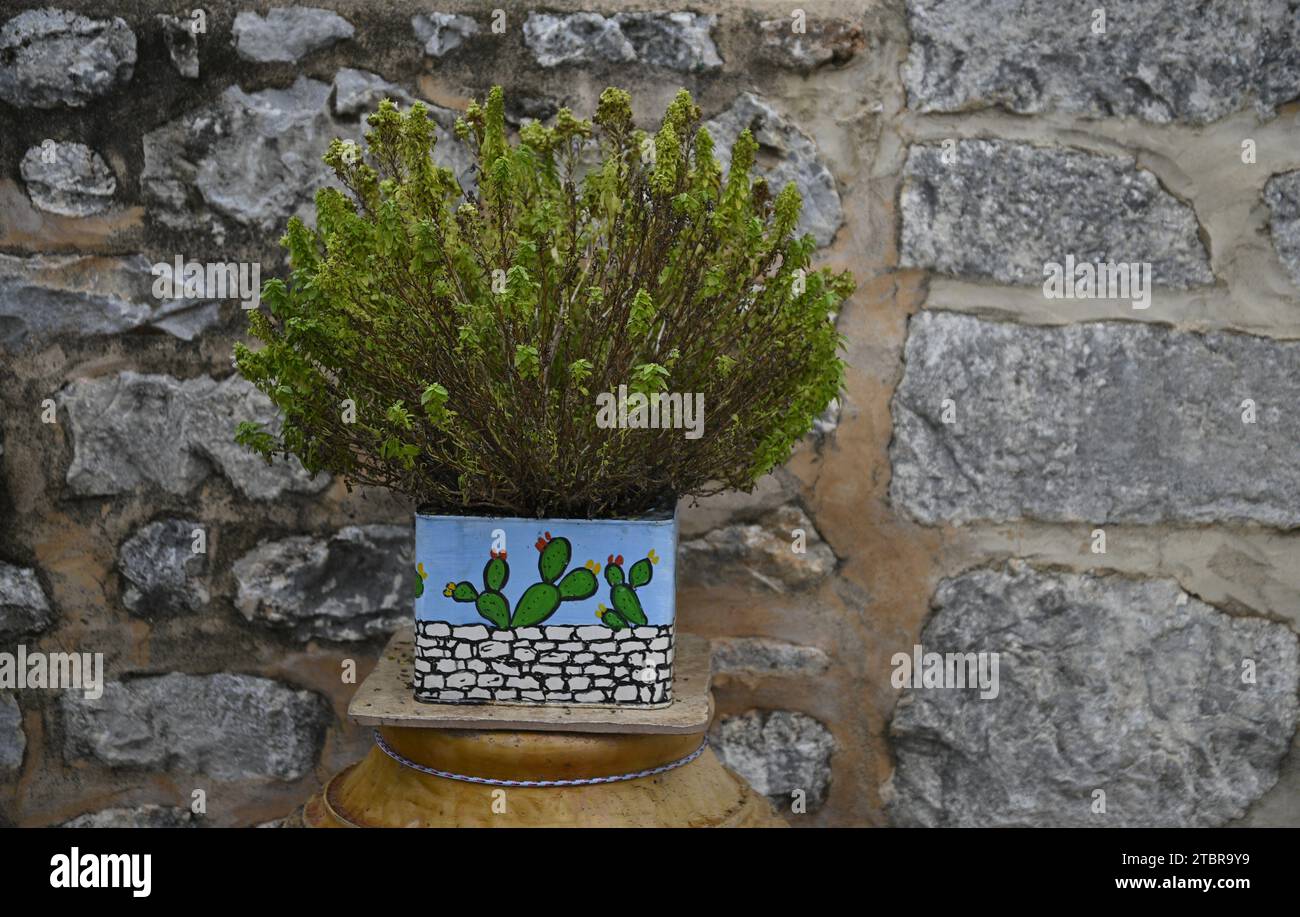 Hand painted tin can with basil plants on the exterior of a local ...