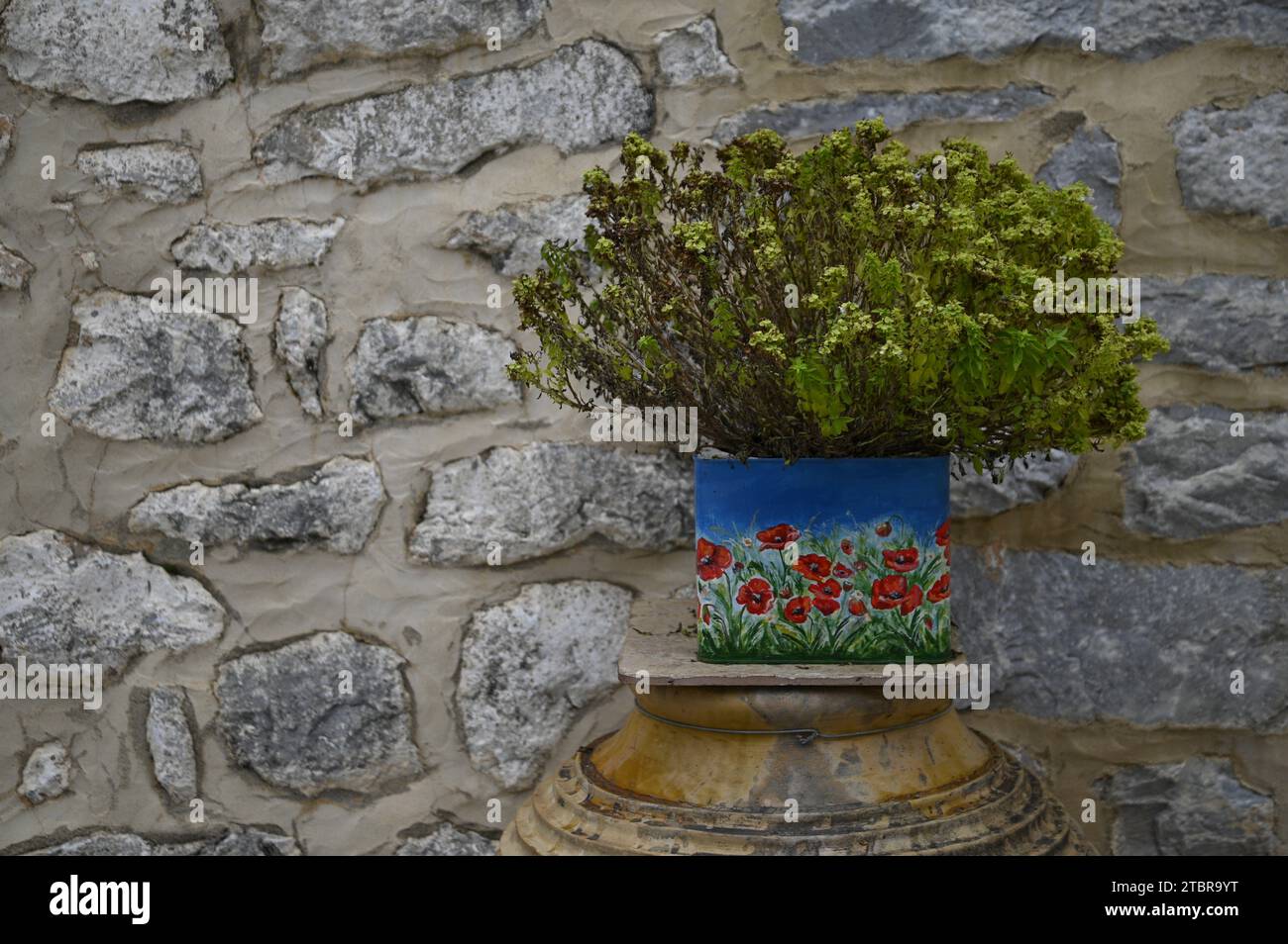Hand painted planters hi-res stock photography and images - Alamy