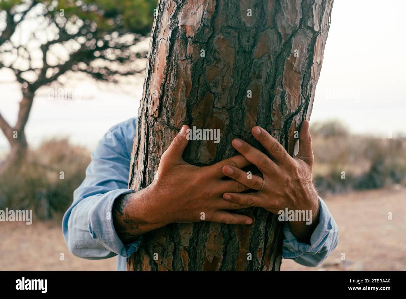 Nature lover hugging trunk tree with green musk in tropical woods ...