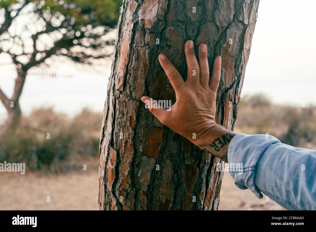Nature lover hugging trunk tree with green musk in tropical woods ...