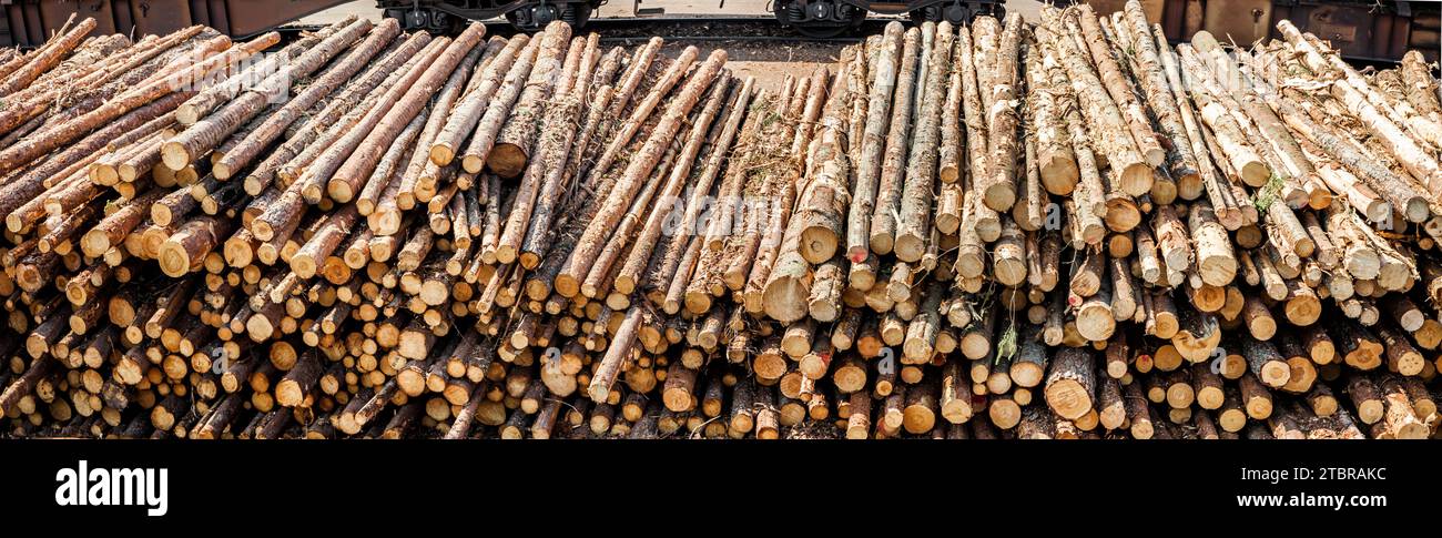 Storage, loading and transportation of logs Stock Photo - Alamy