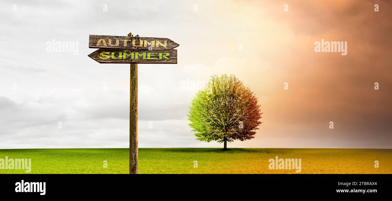Season change from summer to autumn Stock Photo - Alamy