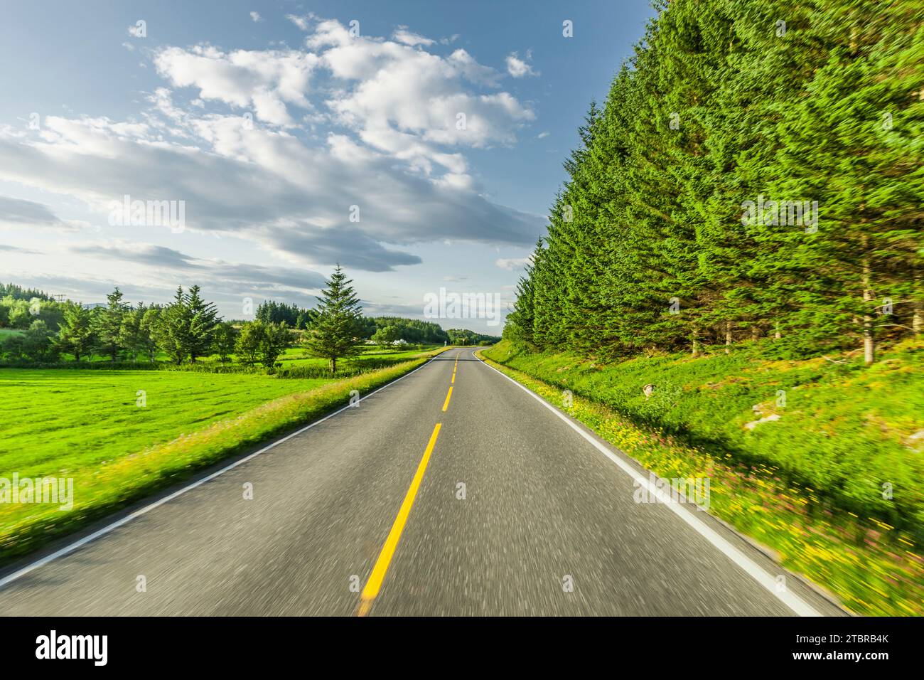 Roads and forests hi-res stock photography and images - Alamy