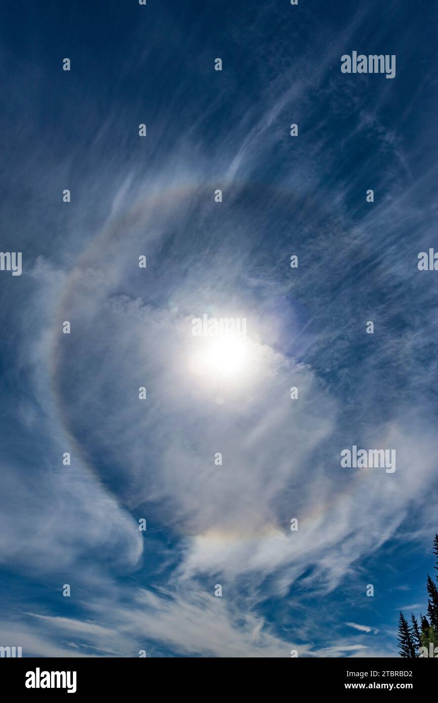 Appearance effect hi-res stock photography and images - Alamy