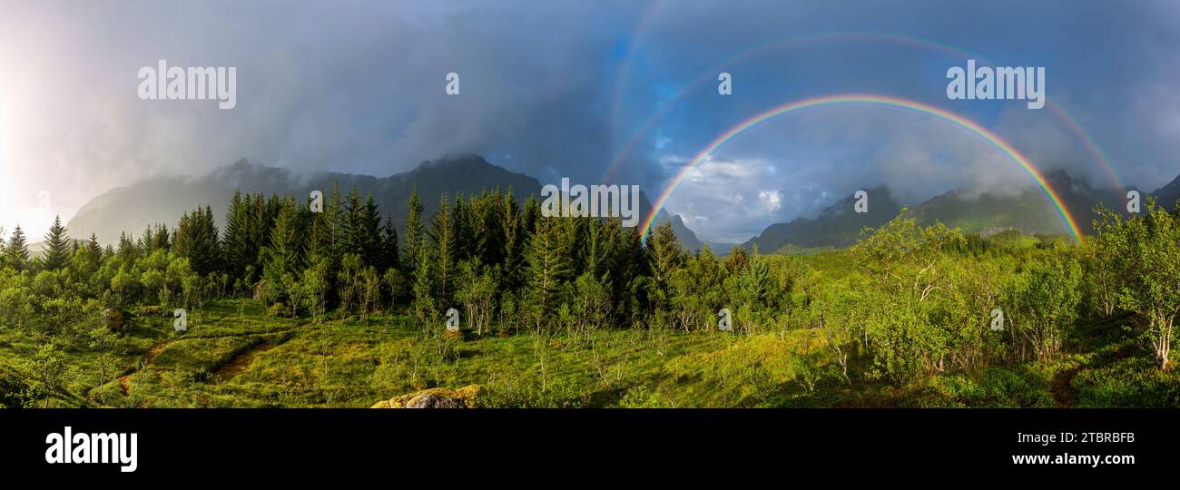 Rainbow over pine forest hi-res stock photography and images - Alamy