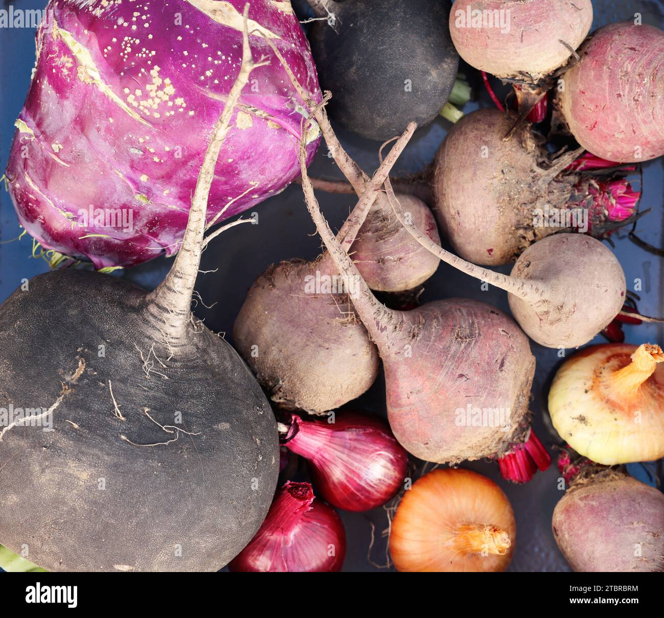 Healthy root vegetables hi-res stock photography and images - Alamy