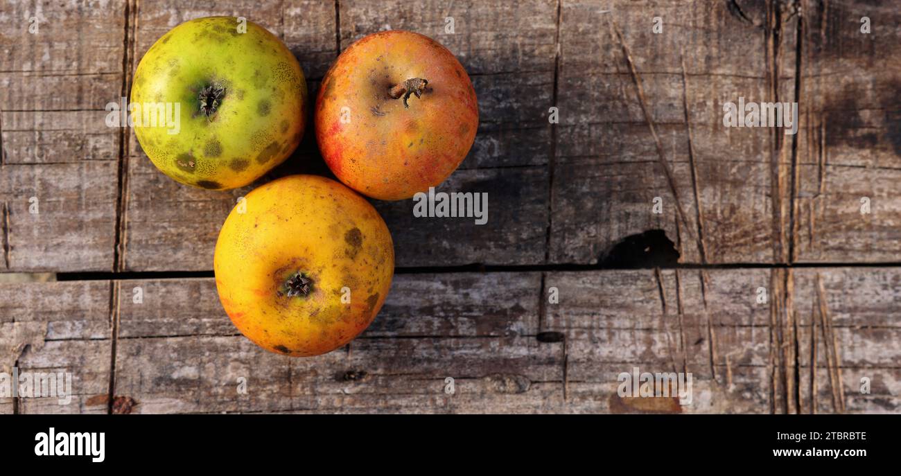 Old kind of apple hi-res stock photography and images - Alamy