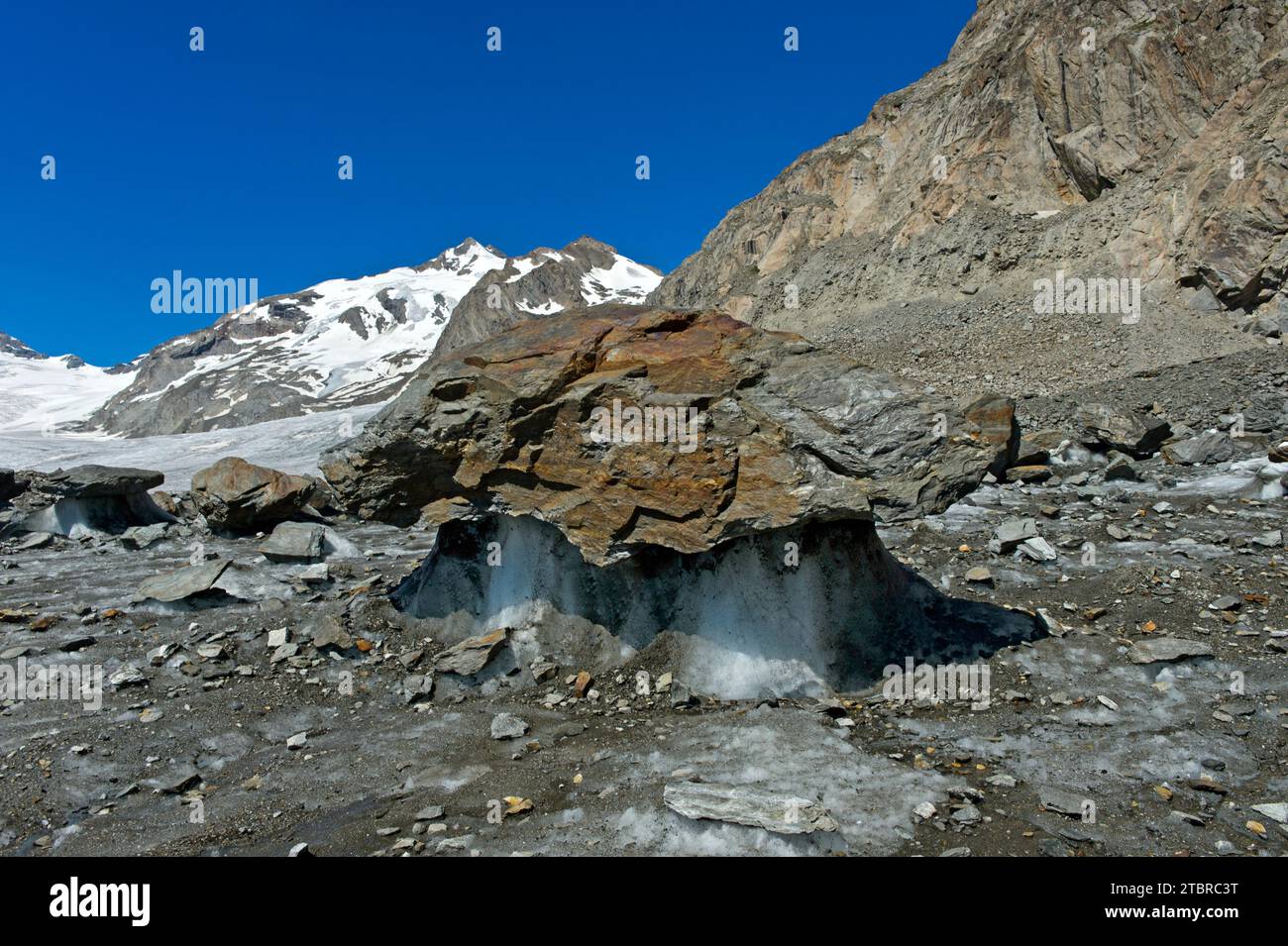 Glacier table in the rock scree on the edge of the Aletsch Glacier ...