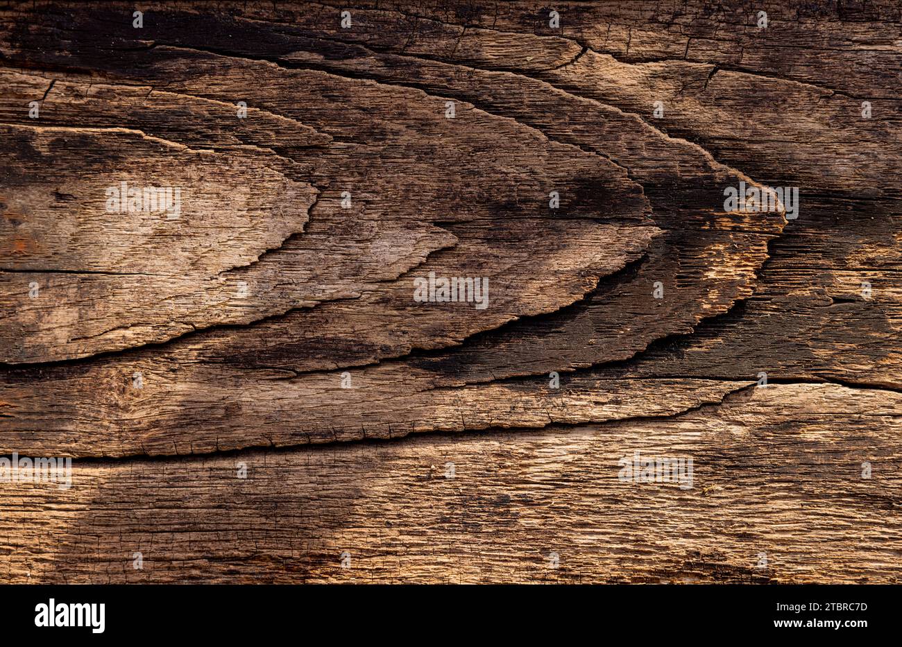 Torn grain wood hi-res stock photography and images - Alamy