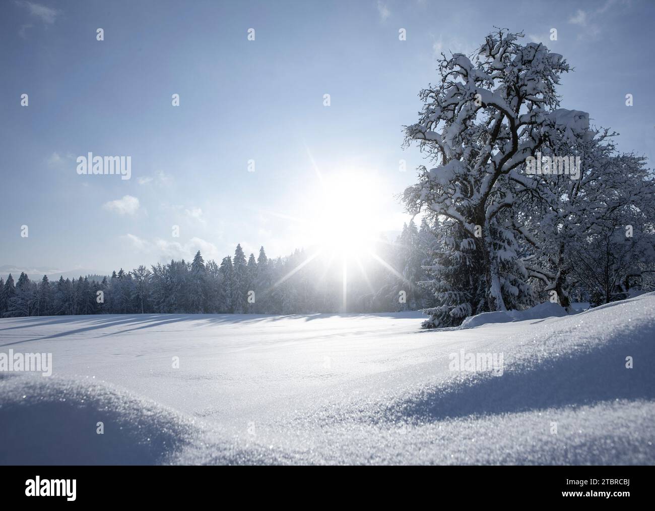 Rays of sunshine hi-res stock photography and images - Alamy