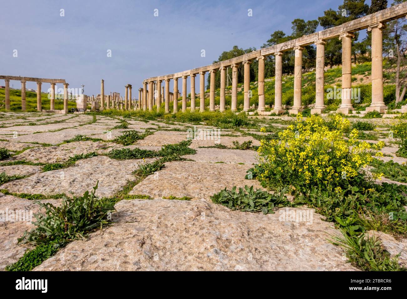 Jordan jerash archaeological museum hi-res stock photography and images ...