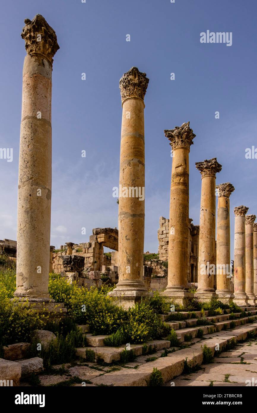 Wadi jerash hi-res stock photography and images - Alamy