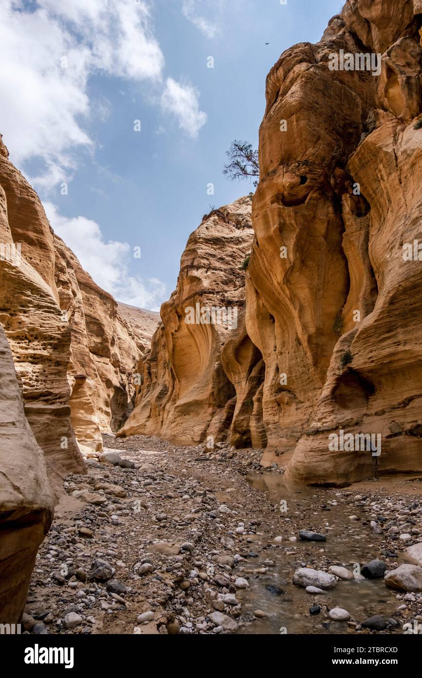 Wadi musa spring, jordan not nebo hi-res stock photography and images ...