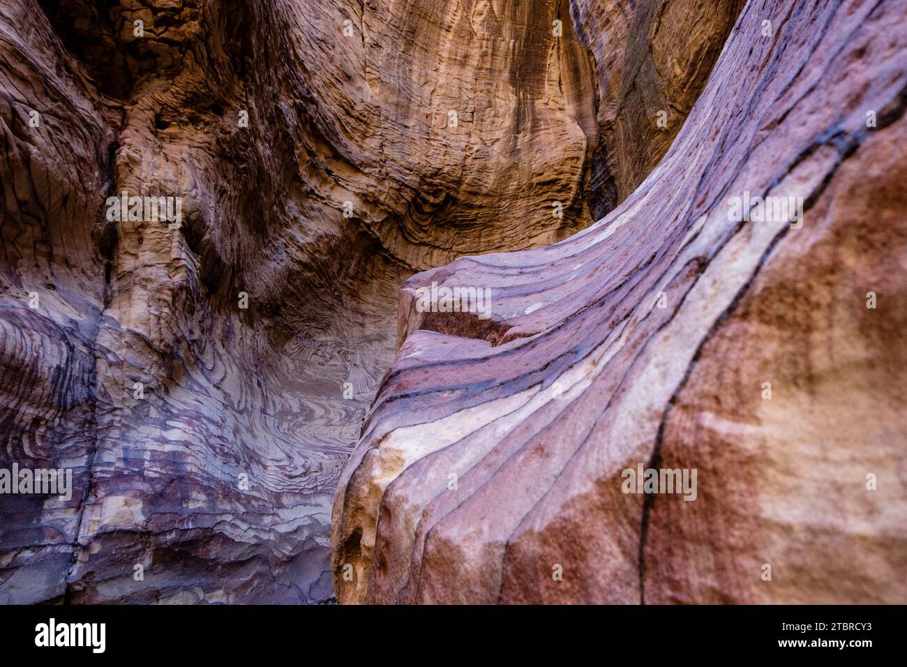 Wadi musa spring, jordan not nebo hi-res stock photography and images ...