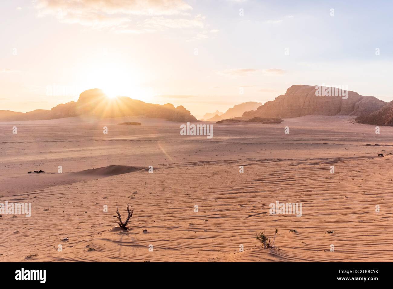 Desert serenity in silhouette hi-res stock photography and images - Alamy