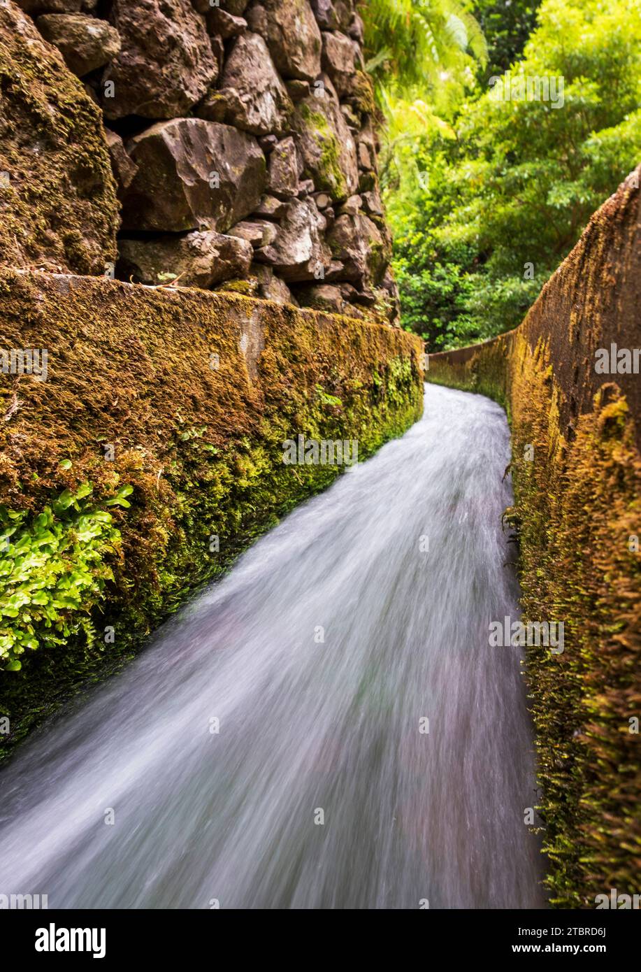 Levada irrigation canal madeira hi-res stock photography and images - Alamy