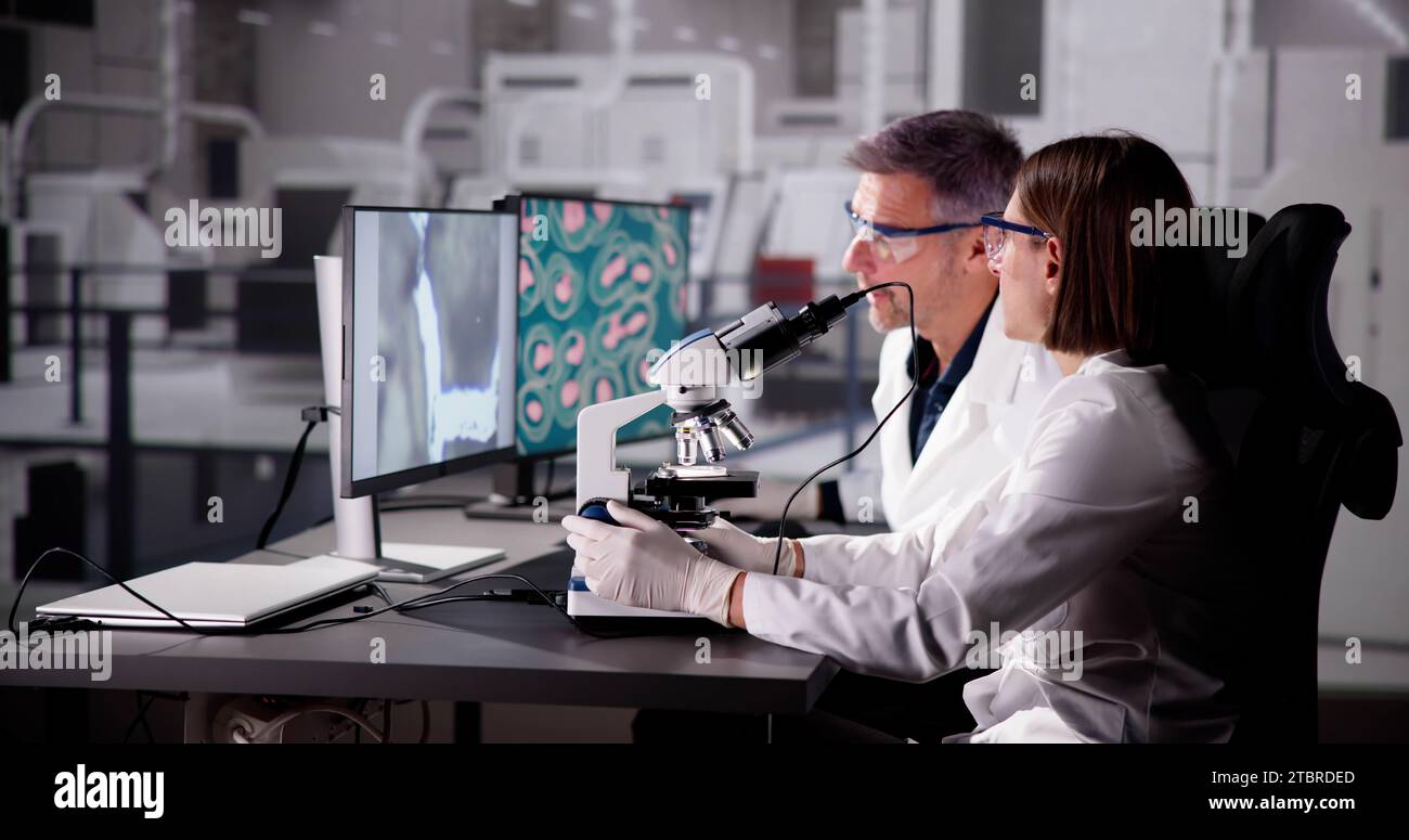 Medical Research Scientist Conducting Blood Sample Test in Lab Stock ...