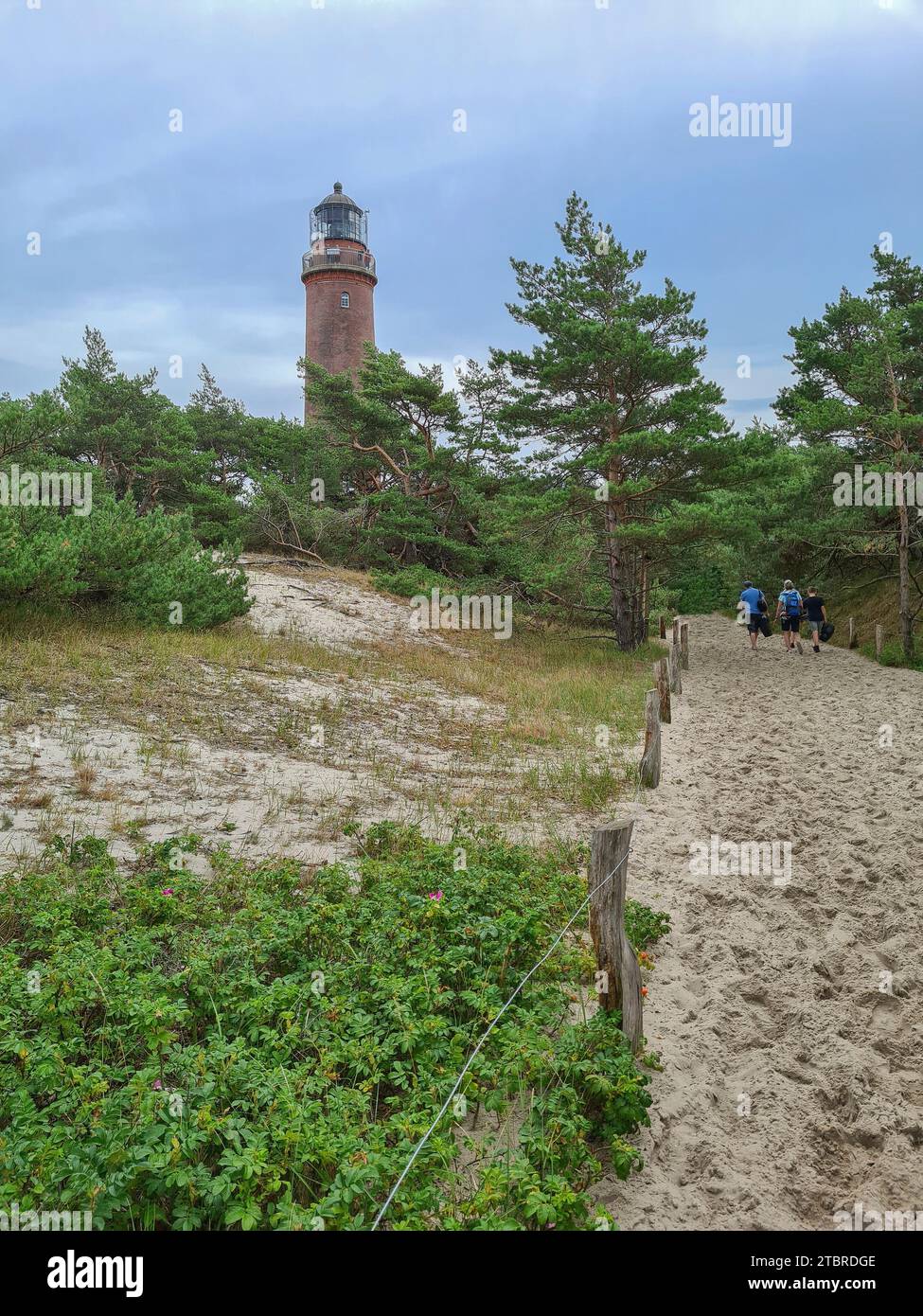 Germany, Mecklenburg-Western Pomerania, Prerow, old lighthouse Darßer ...