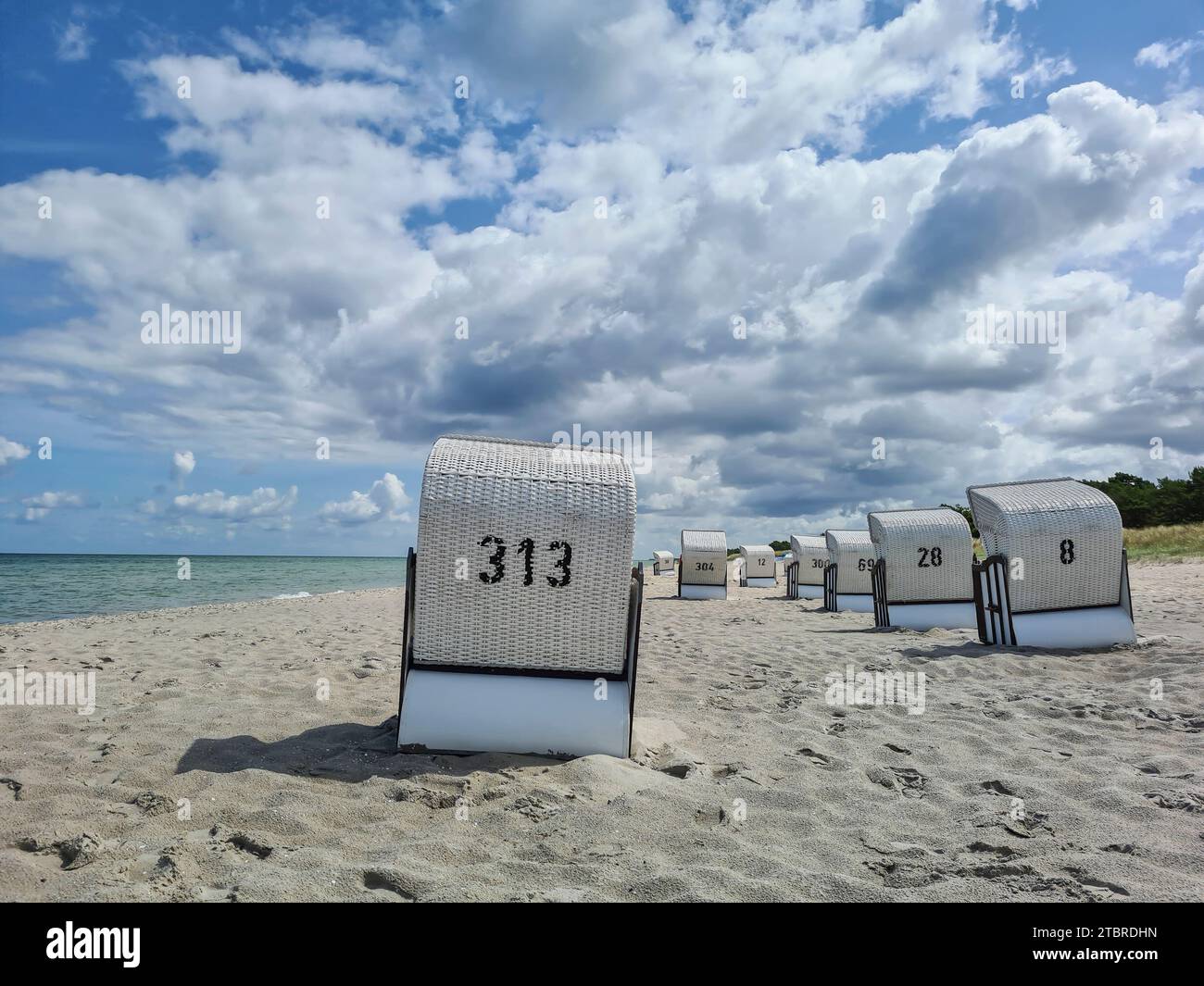 Germany, Mecklenburg-Western Pomerania, peninsula Fischland-Darß-Zingst ...