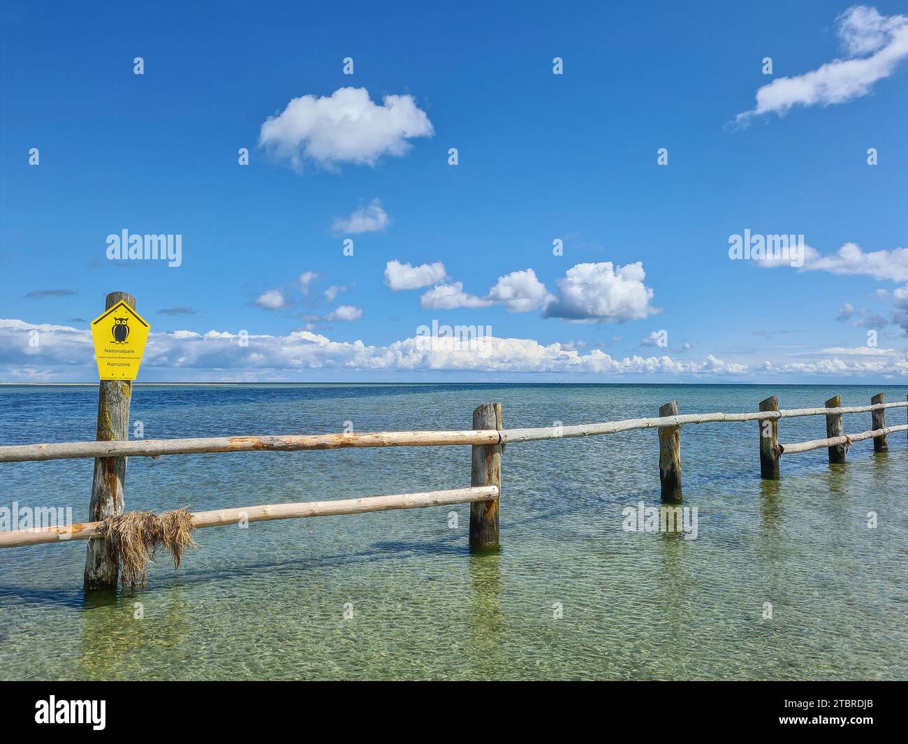 Germany, Mecklenburg-Western Pomerania, peninsula Fischland-Darß-Zingst ...