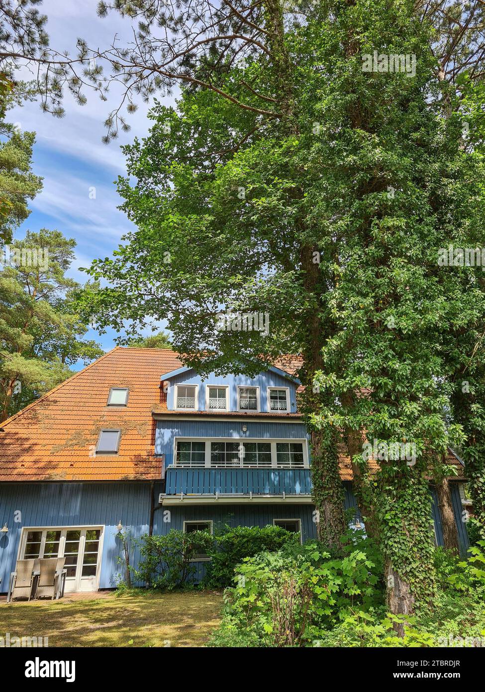 Germany, Mecklenburg-Western Pomerania, peninsula Fischland-Darß-Zingst ...