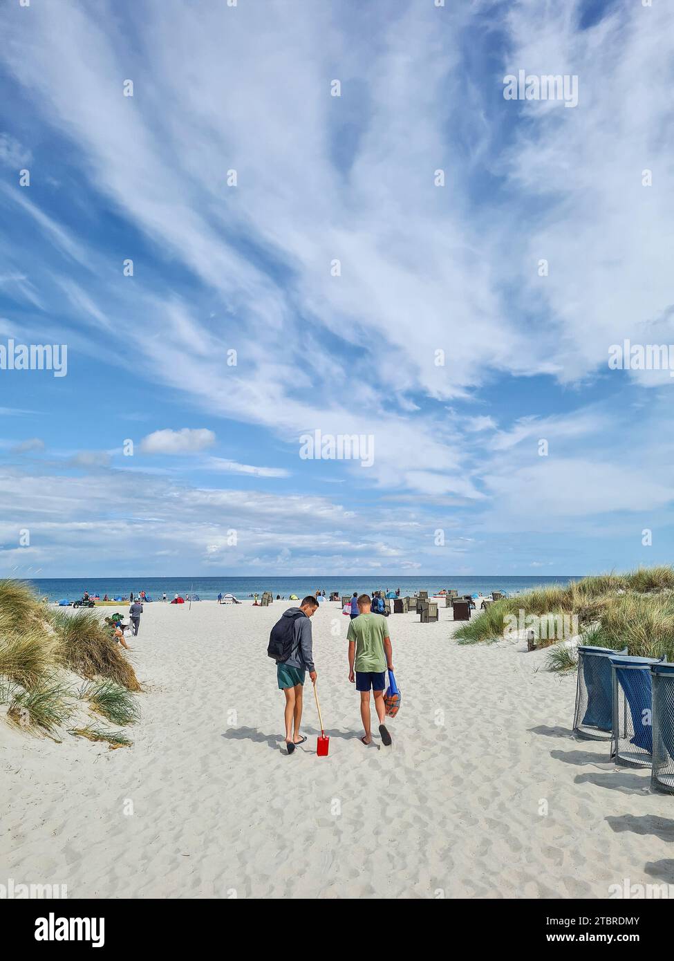 Germany, Mecklenburg-Western Pomerania, peninsula Fischland-Darß-Zingst ...