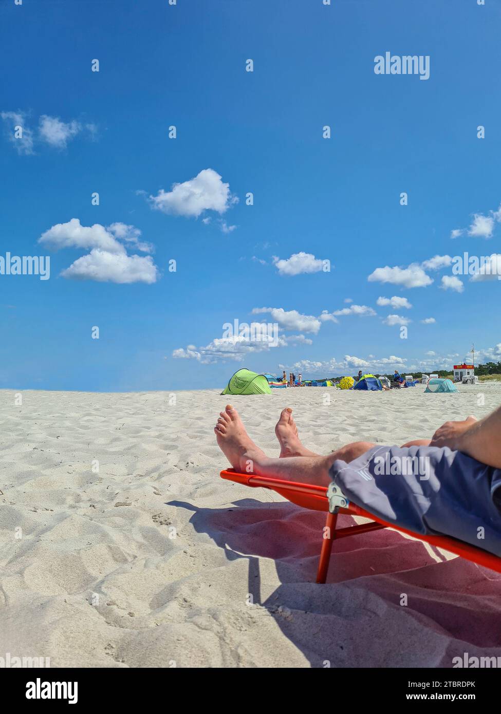 Germany, Mecklenburg-Western Pomerania, peninsula Fischland-Darß-Zingst ...