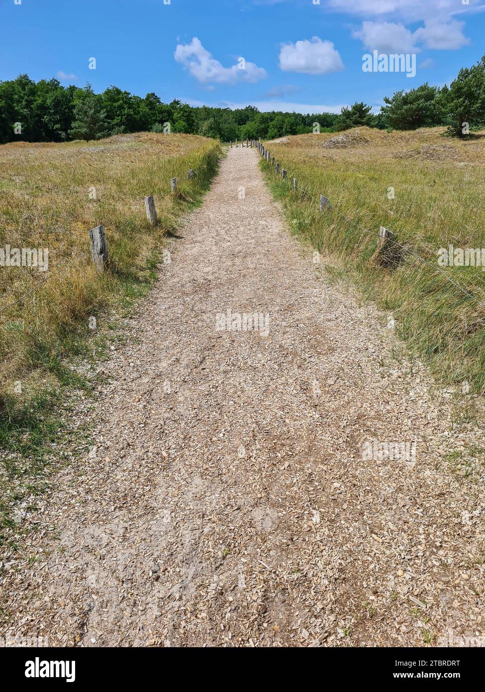 Germany, Mecklenburg-Western Pomerania, peninsula Fischland-Darß-Zingst ...