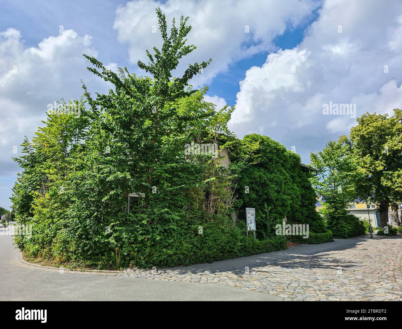 Germany, Mecklenburg-Western Pomerania, Fischland-Darß-Zingst peninsula ...