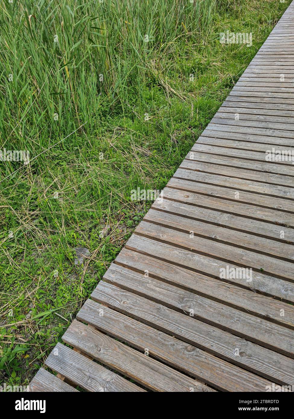 Wooden footbridge through forest area hi-res stock photography and ...