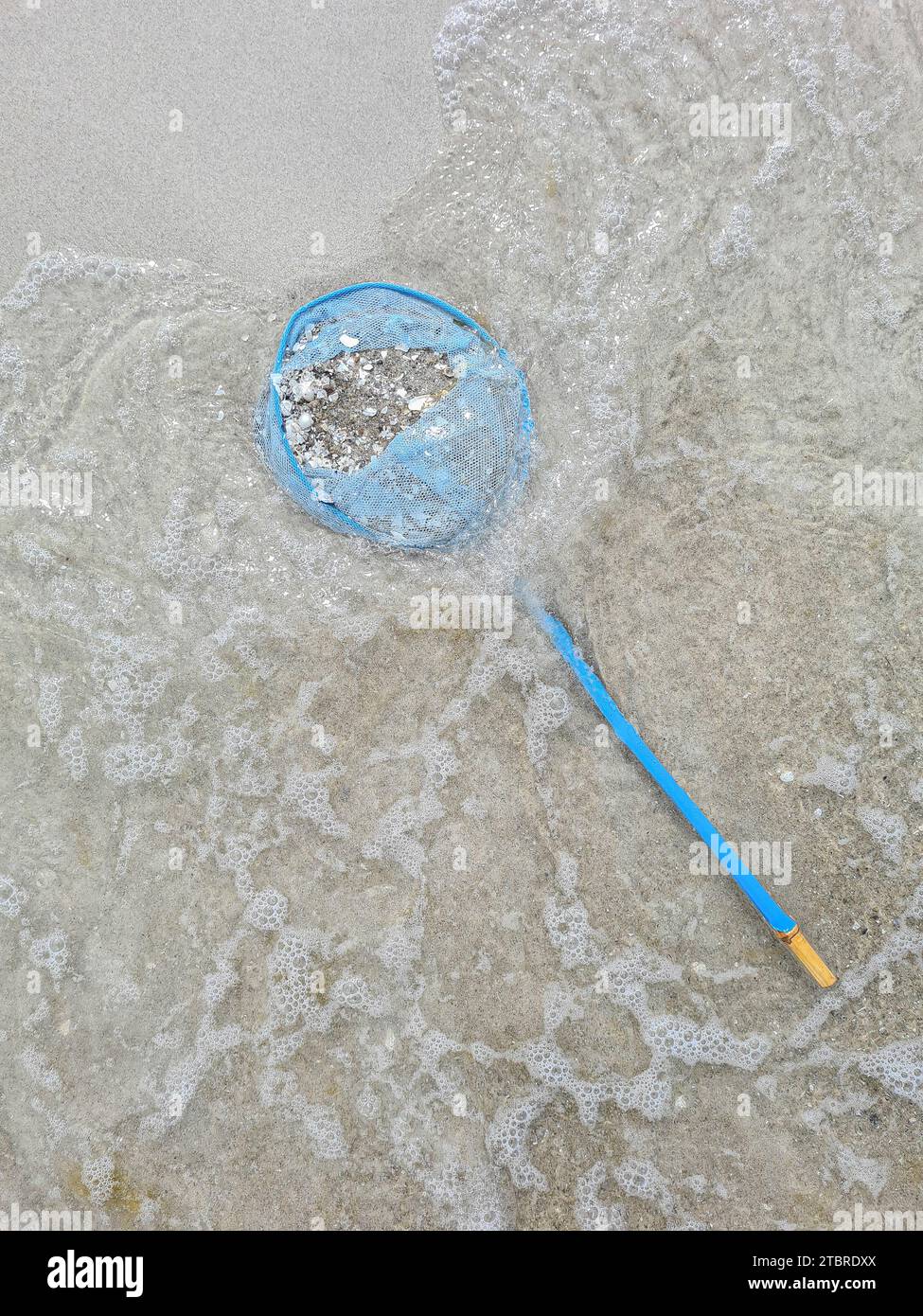 Childrens landing net hi-res stock photography and images - Alamy