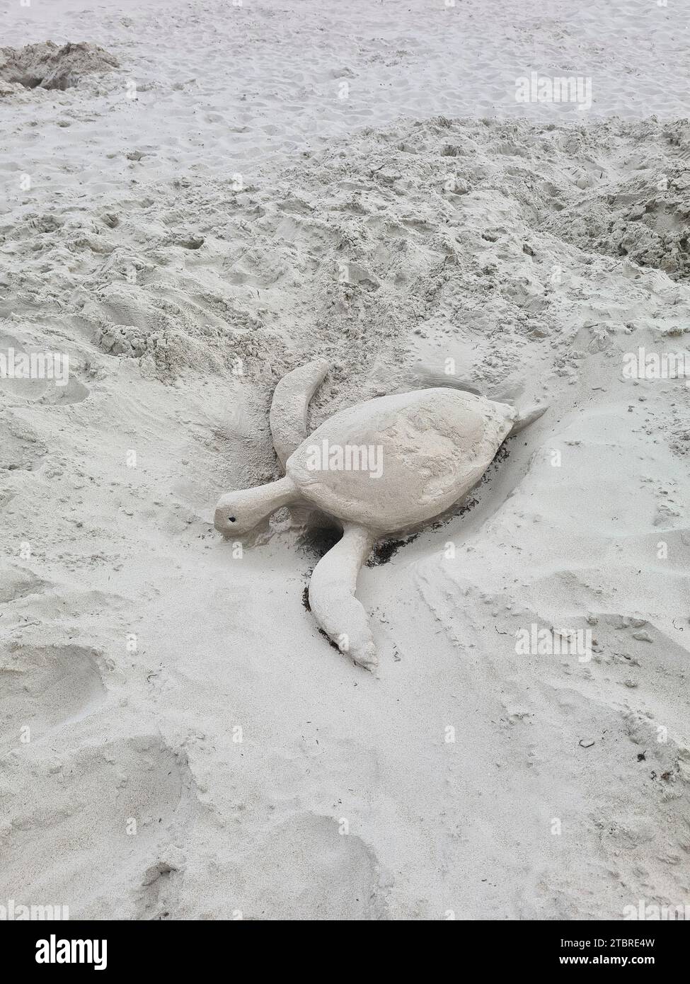 Sea turtle sculpture hi-res stock photography and images - Alamy