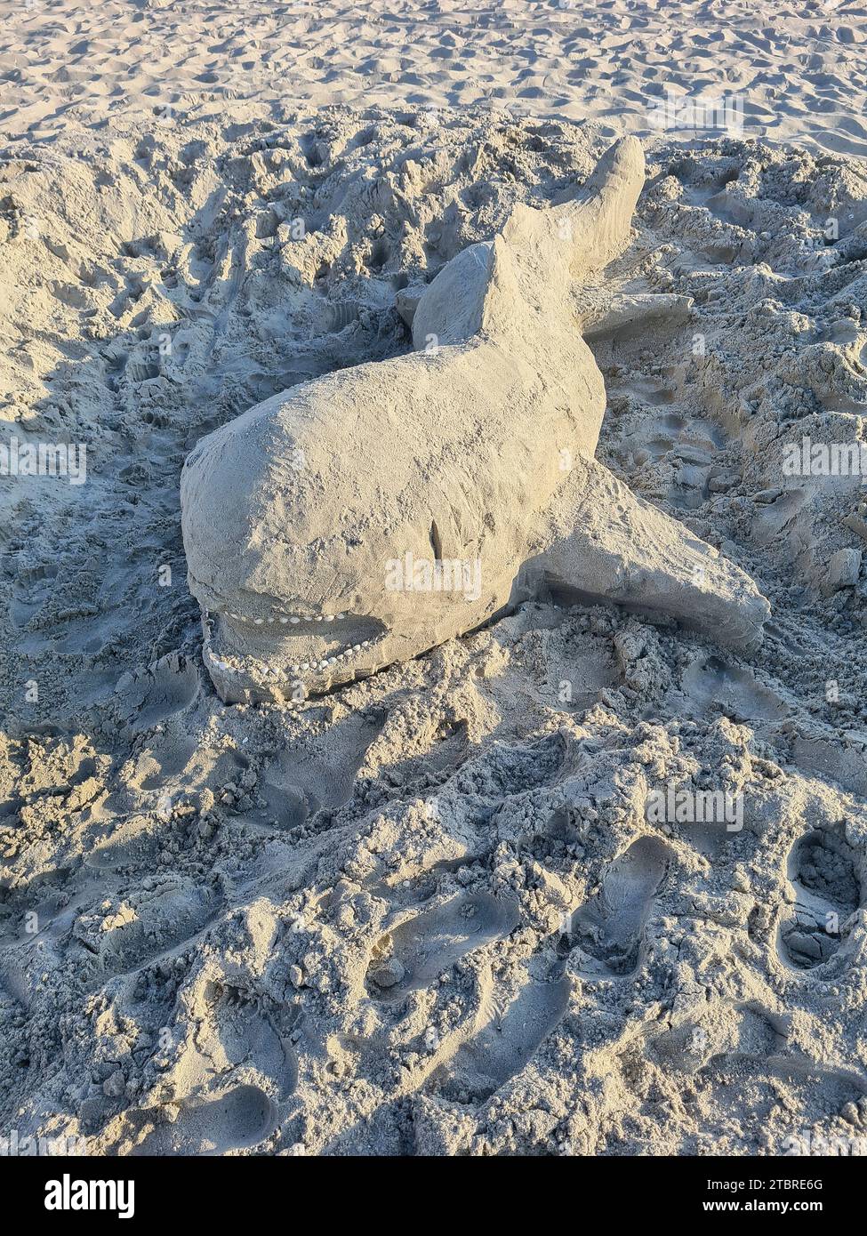 Sandy creations hi-res stock photography and images - Alamy