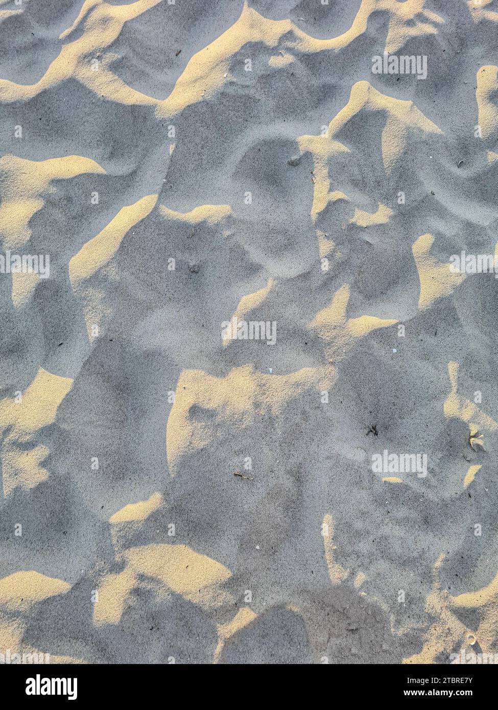 Evening sunlight on beach sand hi-res stock photography and images - Alamy