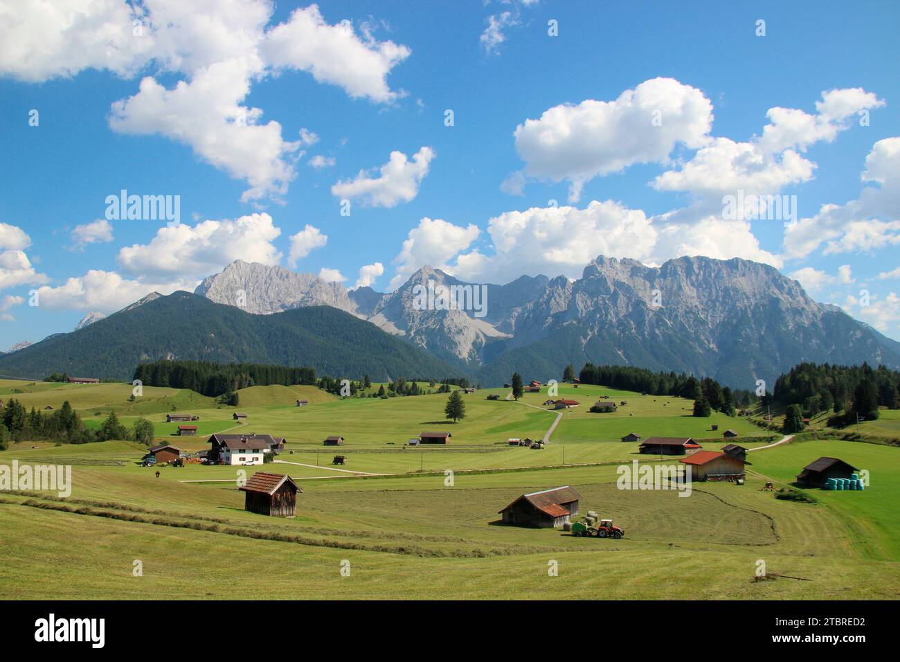 Haymaking in beautiful summer weather in front of white-blue sky ...