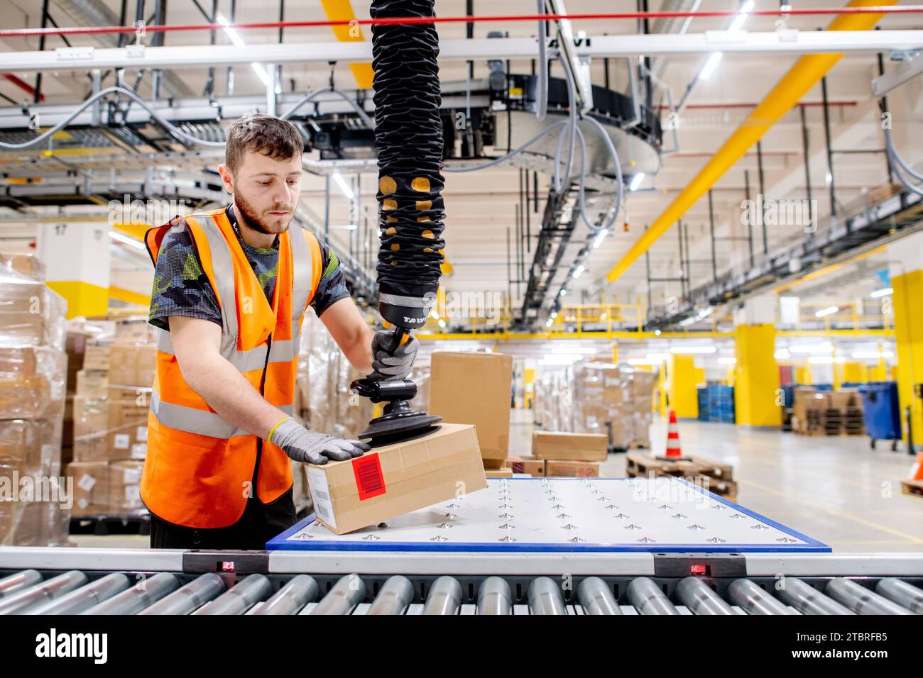 07 December 2023, Lower Saxony, Großenkneten: An employee prepares a ...